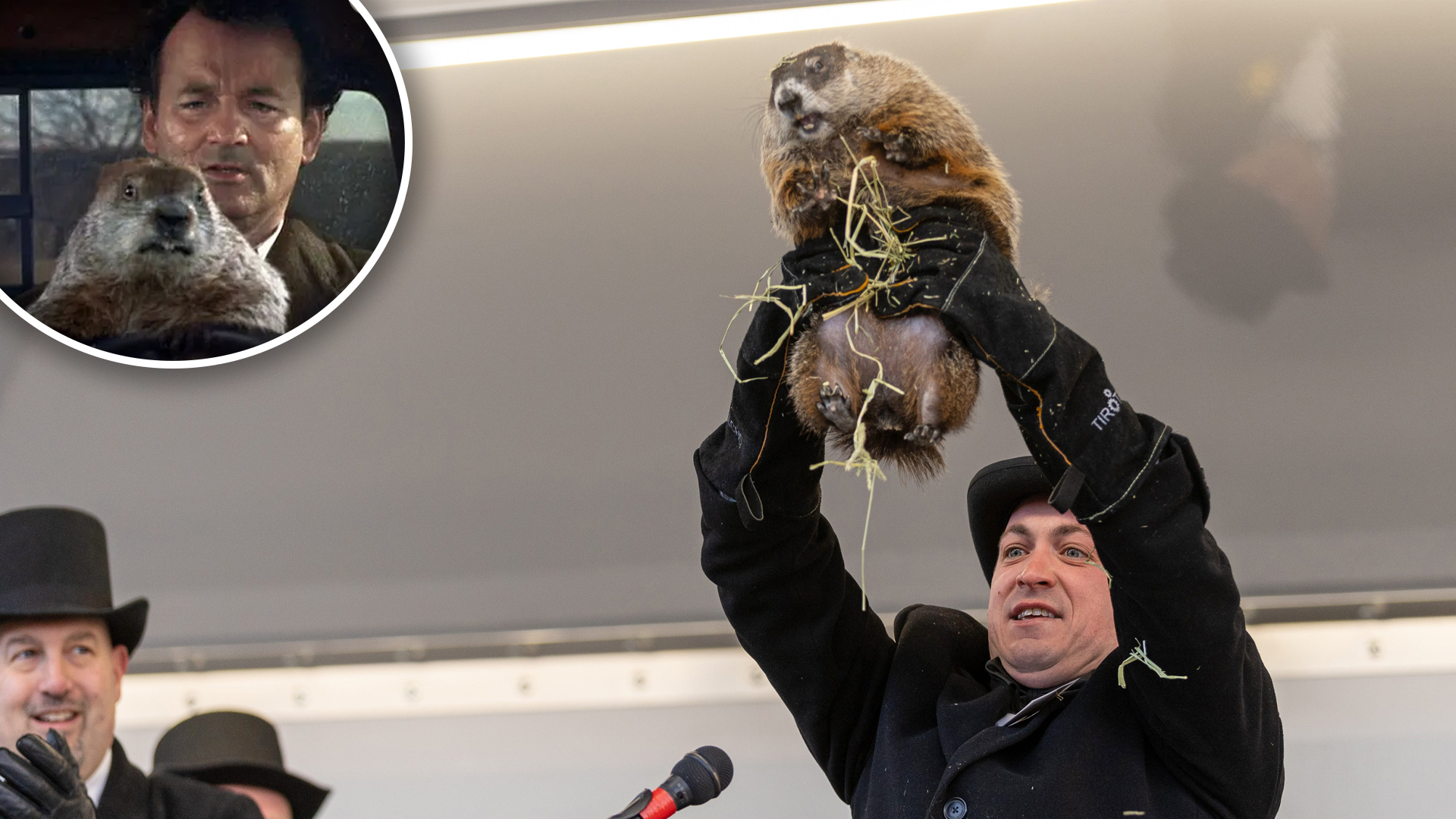 As If 2022 Couldn't Get Any Worse, Weather Predicting Groundhog Dies ...